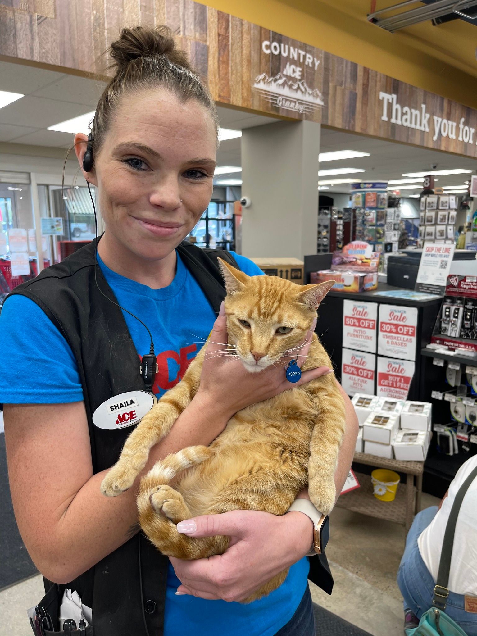 Beloved Store Cat Returned to Granby Ace Hardware | Hardware Retailing