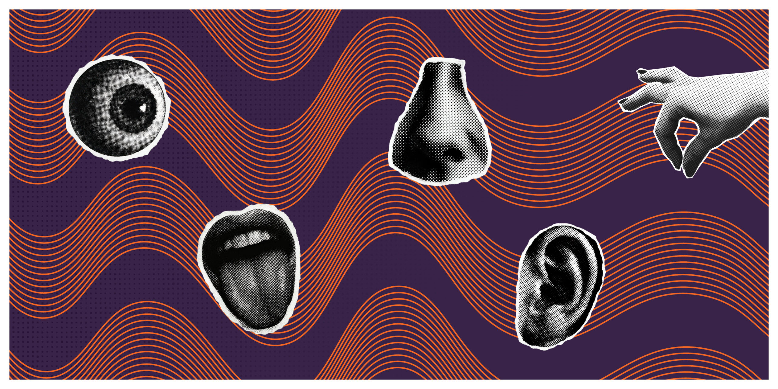 A Delight for the Senses: Engage Customers Through Each of the 5 Senses ...