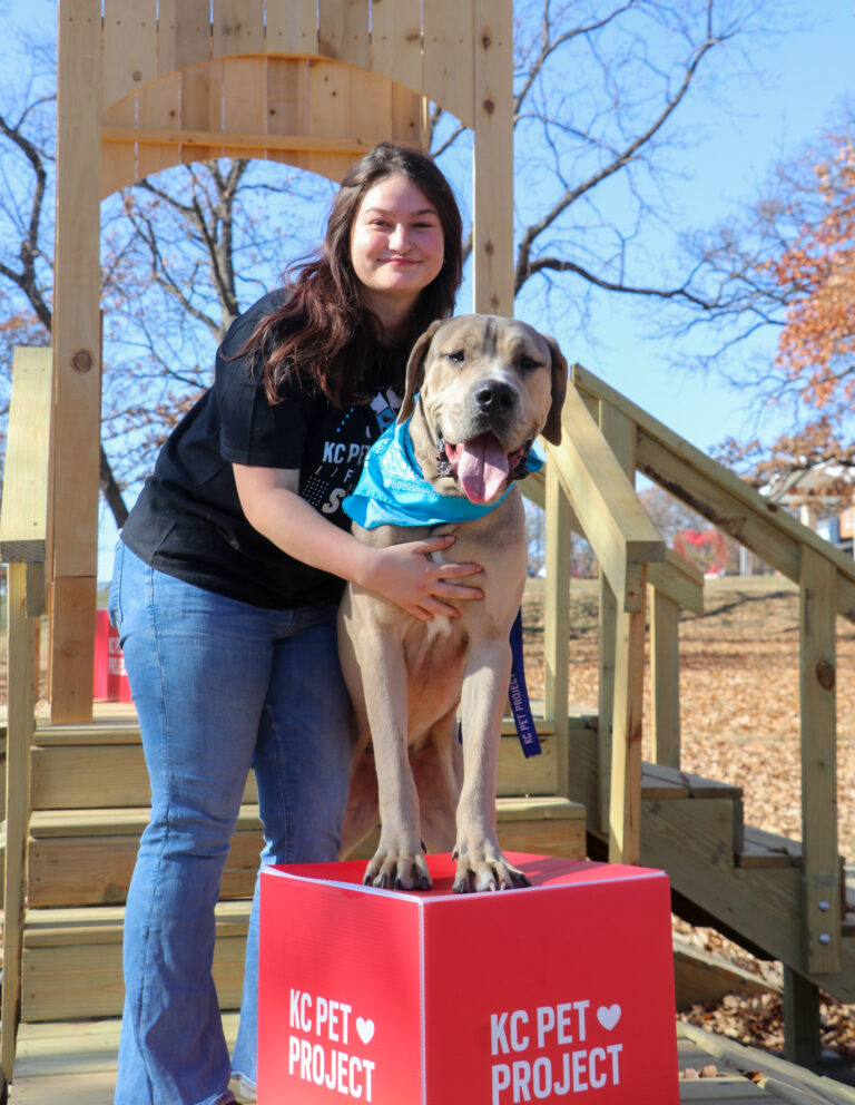 Westlake Ace Hardware Builds Playground Exclusively for Shelter Dogs ...